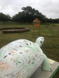 Tortoise Trail | Parish of Trinity