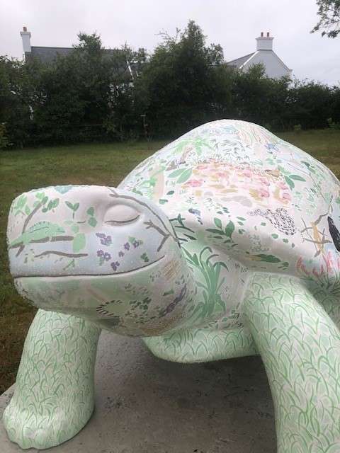 Tortoise Trail | Parish of Trinity